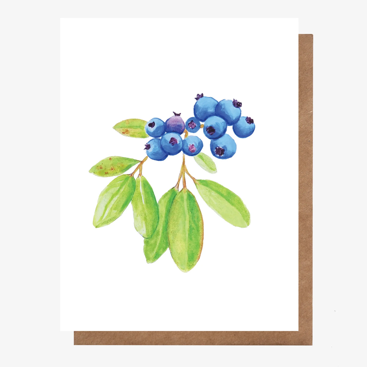 Blueberries Card – The Canadian Canoe Museum's Store