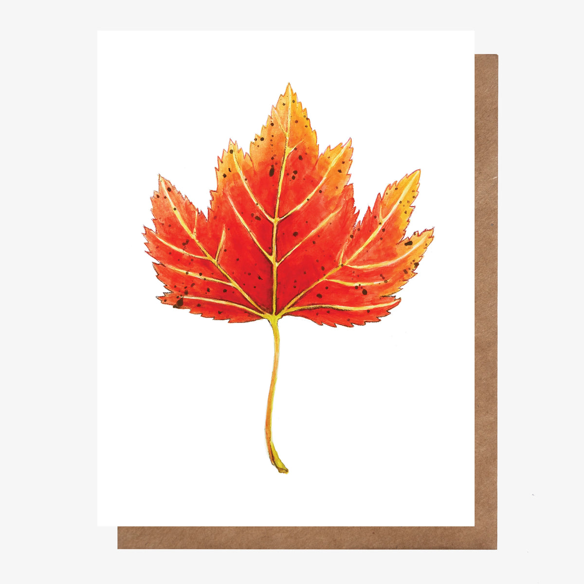Fall Maple Card – The Canadian Canoe Museum's Store